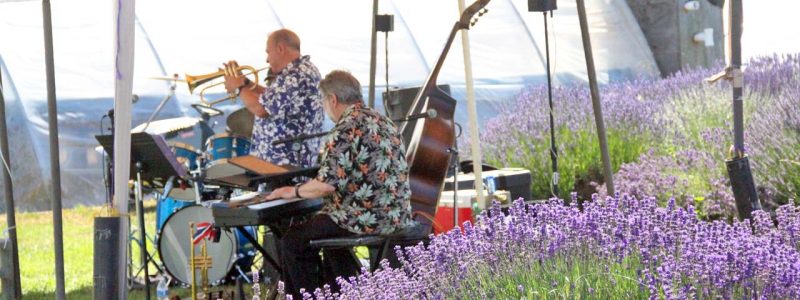 21st Annual Victor's Lavender Festival - Victor's Lavender