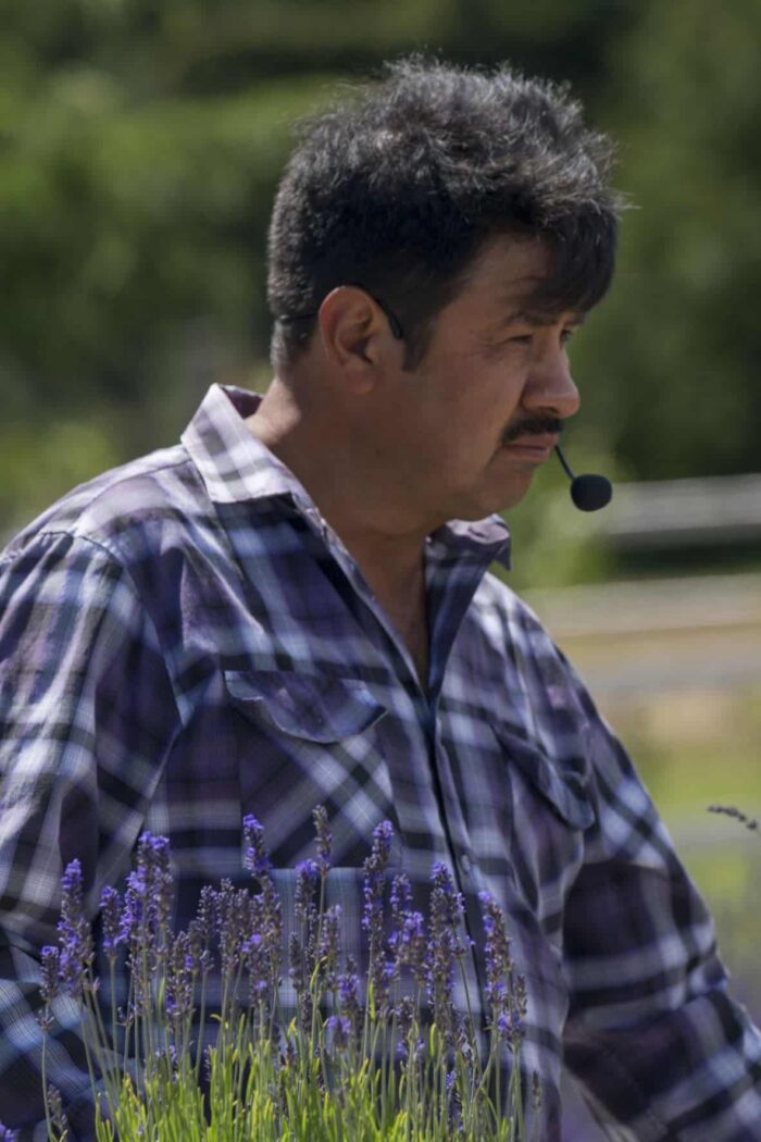 21st Annual Victor's Lavender Festival - Victor's Lavender