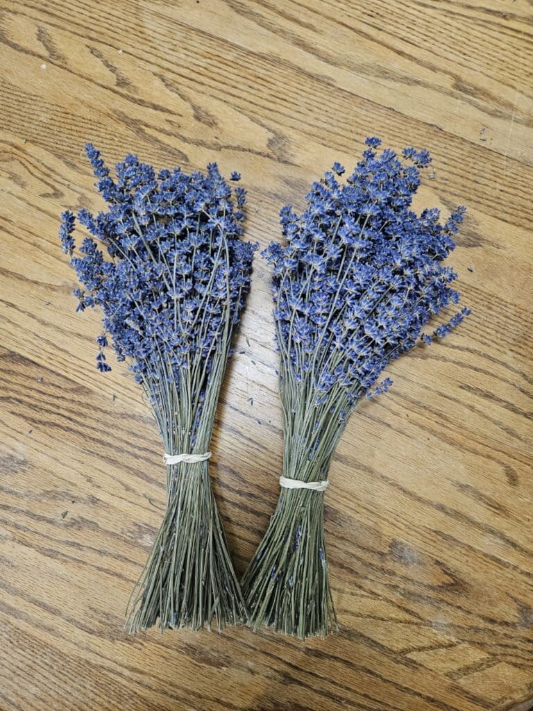 English Dried Bundle 4-Pack - Victor's Lavender